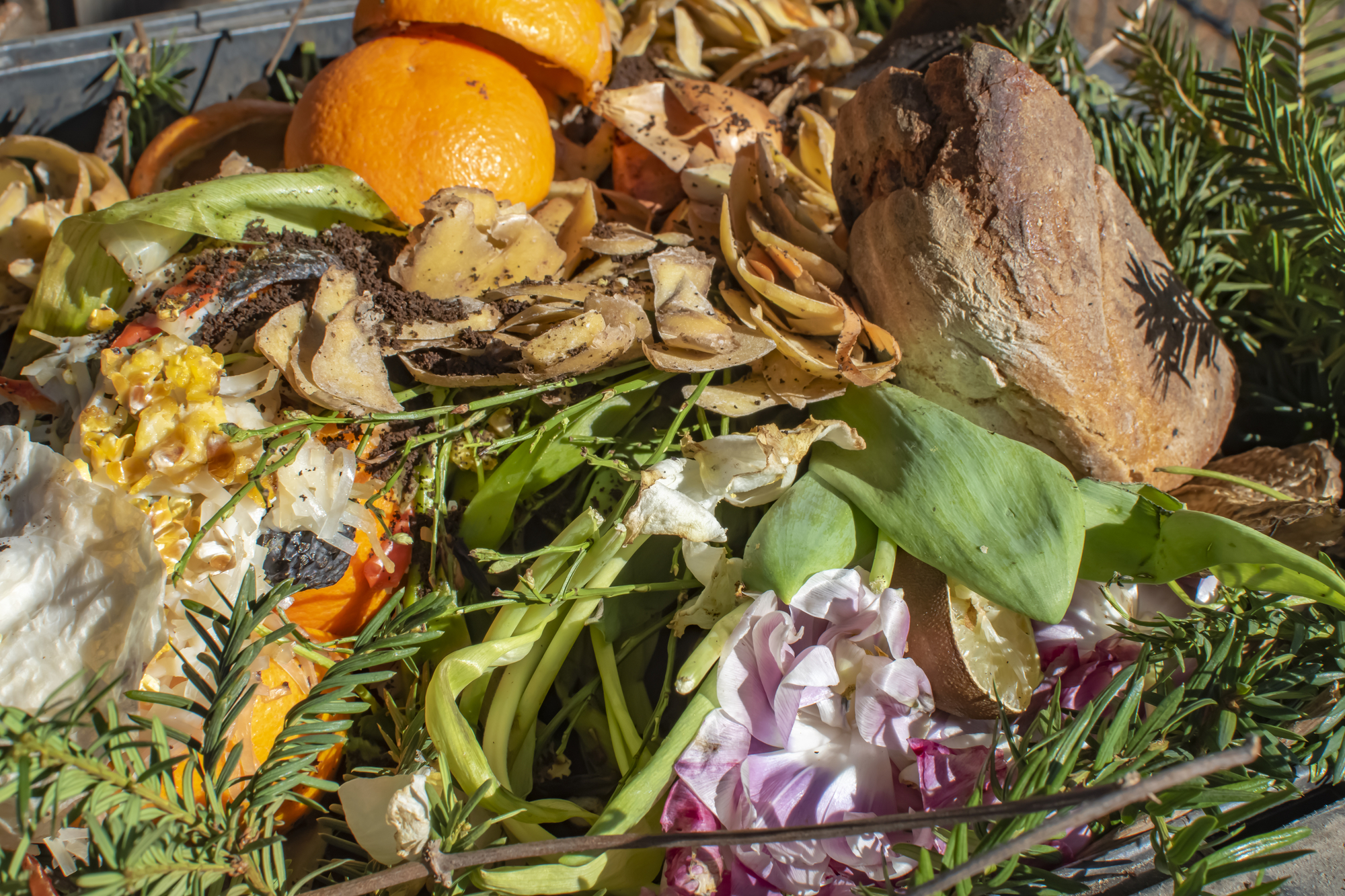7 méthodes innovantes pour transformer les déchets agricoles en ...